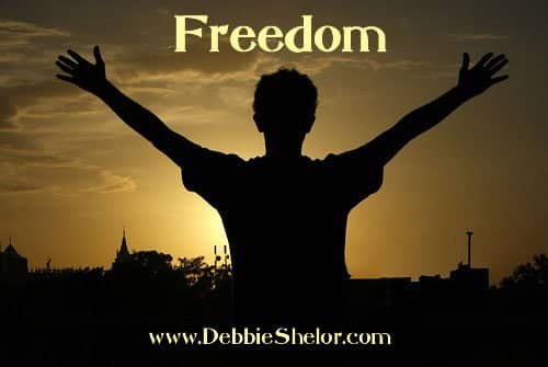 Life, Liberty, the Pursuit of Happiness - Freedom From Tyranny ...