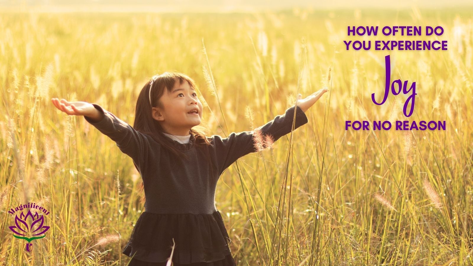 How Often Do You Experience Joy For No Reason?