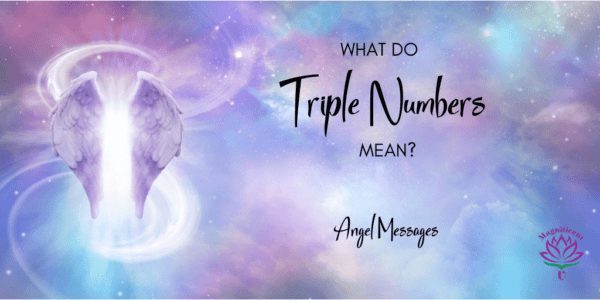 What do Triple Numbers Mean? Or Crystals, Animals, etc.