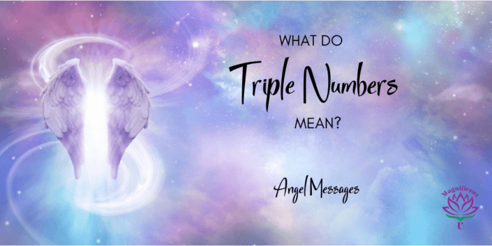 What do Triple Numbers Mean? Or Crystals, Animals, etc.